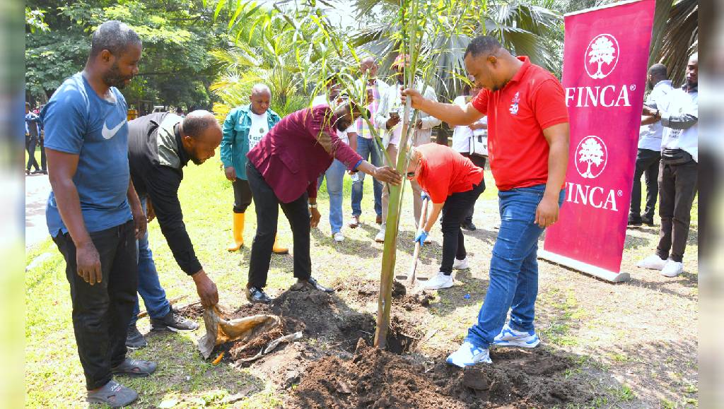 FINCA RDC Celebrates National Tree Day with ANIMF: Planting for a ...